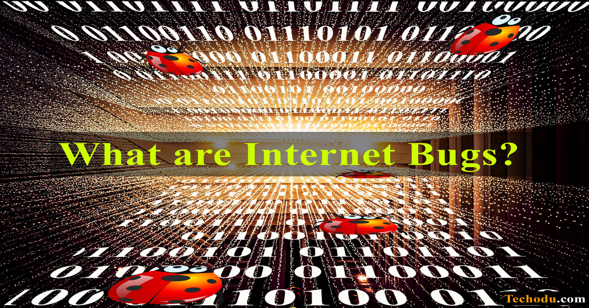 What are Internet Bugs? Explain in 3 steps - Techodu