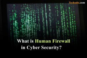 what is human firewall in cyber security? - Techodu